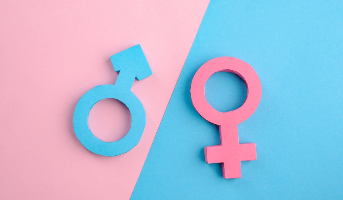 Classification Gender Through Facial Features: A Decision Tree Approach ...