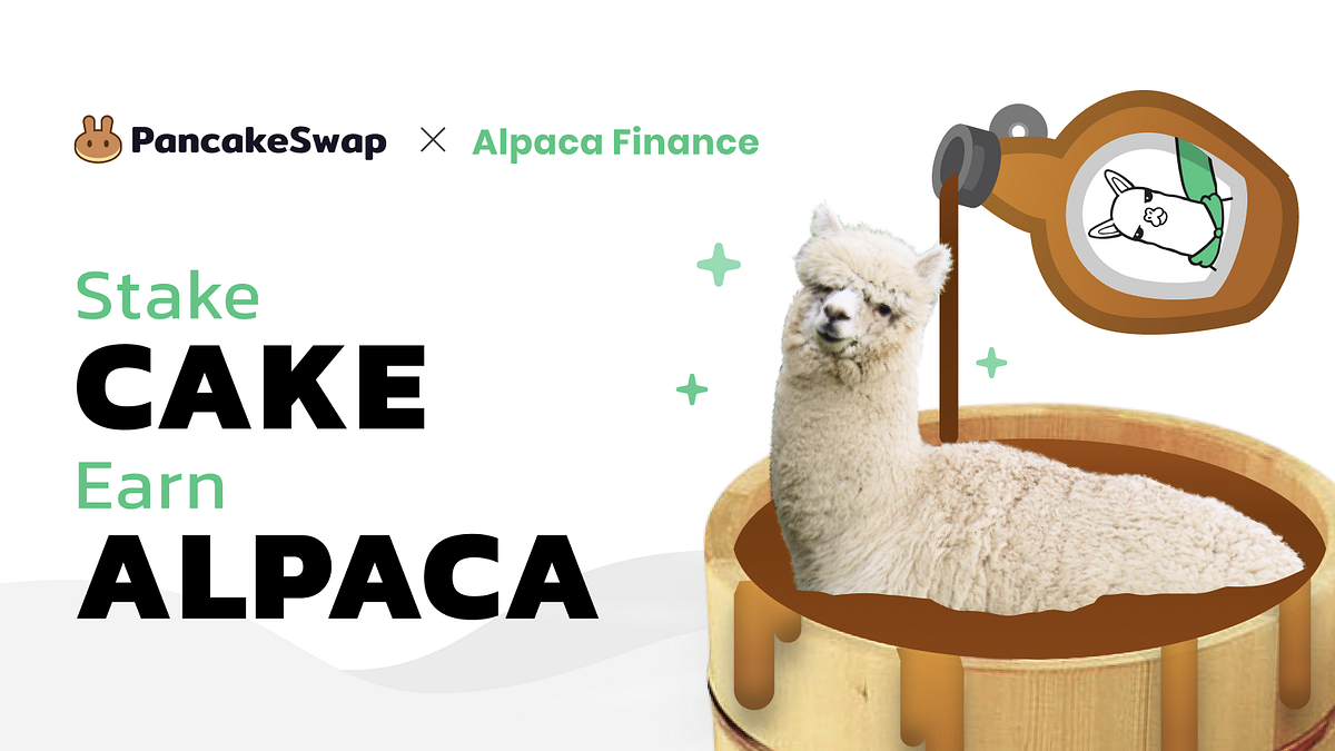 PancakeSwap Welcomes Alpaca Finance to Syrup Pool! | by PancakeSwap ...