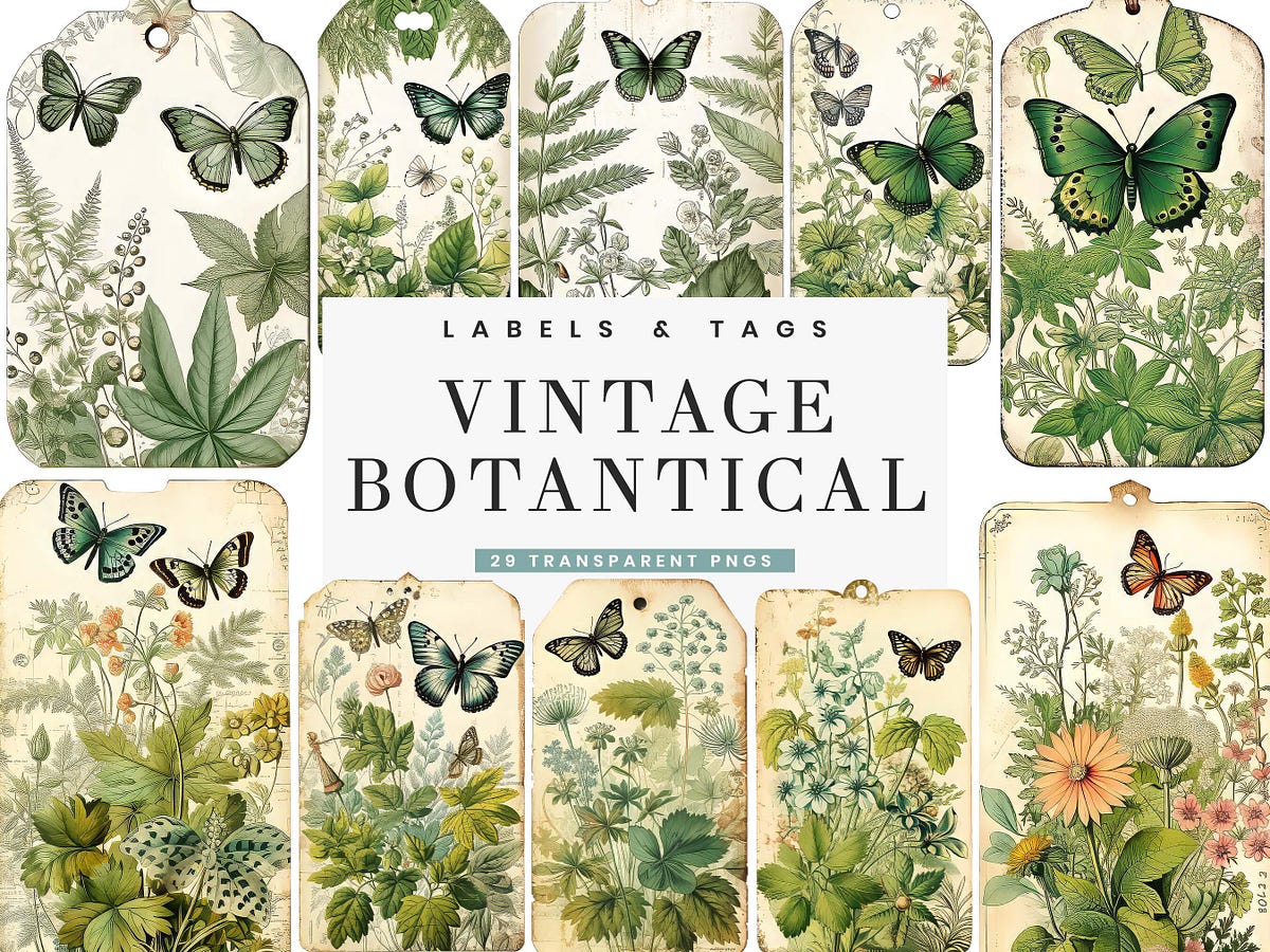 Vintage Botanical Digital Paper Free | by Lunaeverhart | Jul, 2024 | Medium