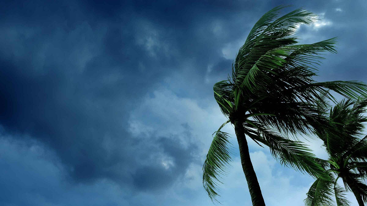 Forecasting Disaster Management Using Python | by Neha Pathan | Medium