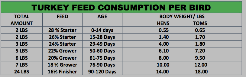 Turkey feed consumption chart | by New Farmer, QC | new farmer | Medium