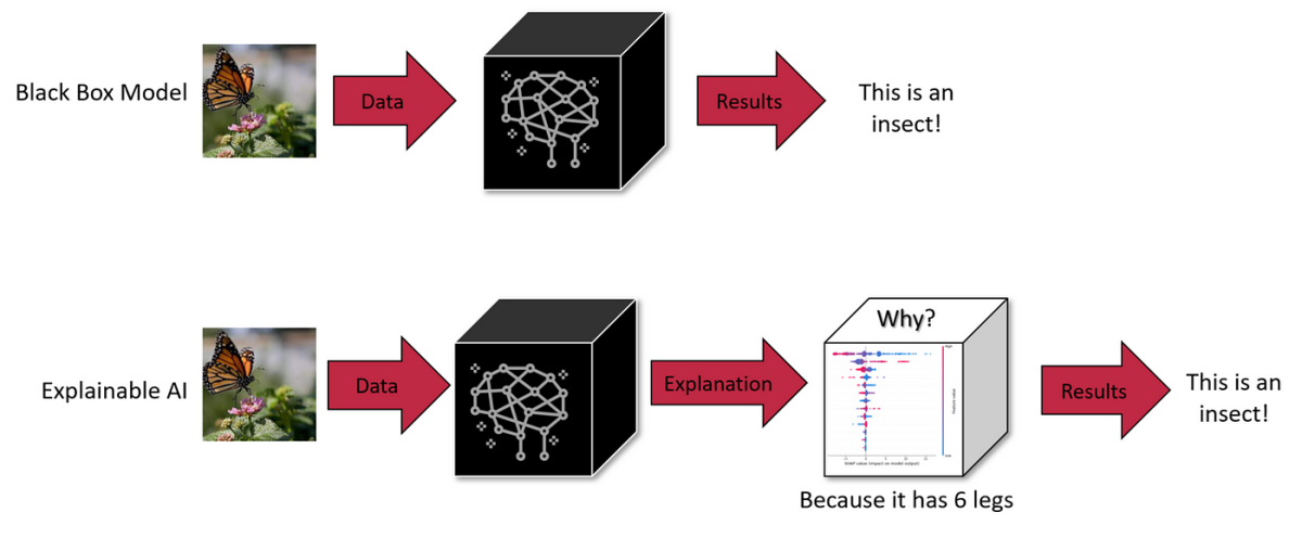 Understanding the Power of Black Box LLM APIs: Diving into Seamless Language Processing | by ...