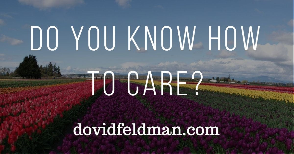 Do You Know How to Care?. When we let go of our story, our own… | by ...