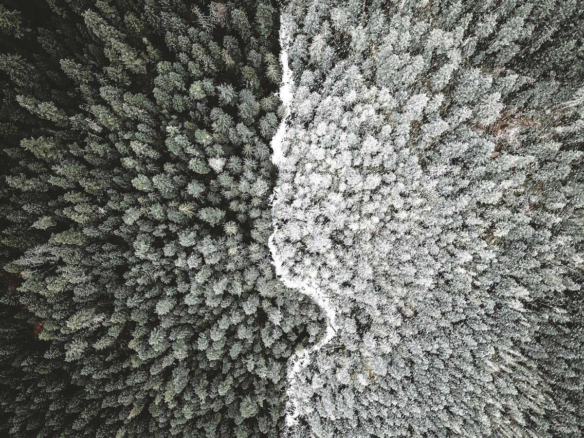 Machine Learning Algorithms Naïve Bayes Classifier And Knn Classifier