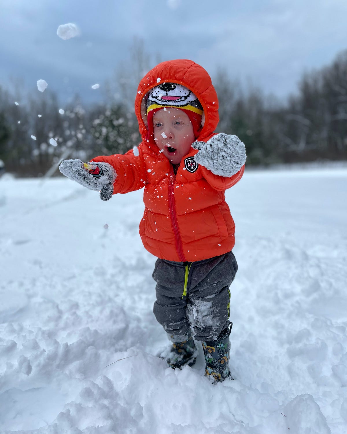 The Debt Snowball Method: A Step-by-Step Guide to Gaining Momentum in ...