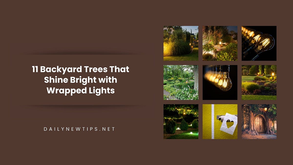 11 Backyard Trees That Shine Bright with Wrapped Lights | by kristan ...
