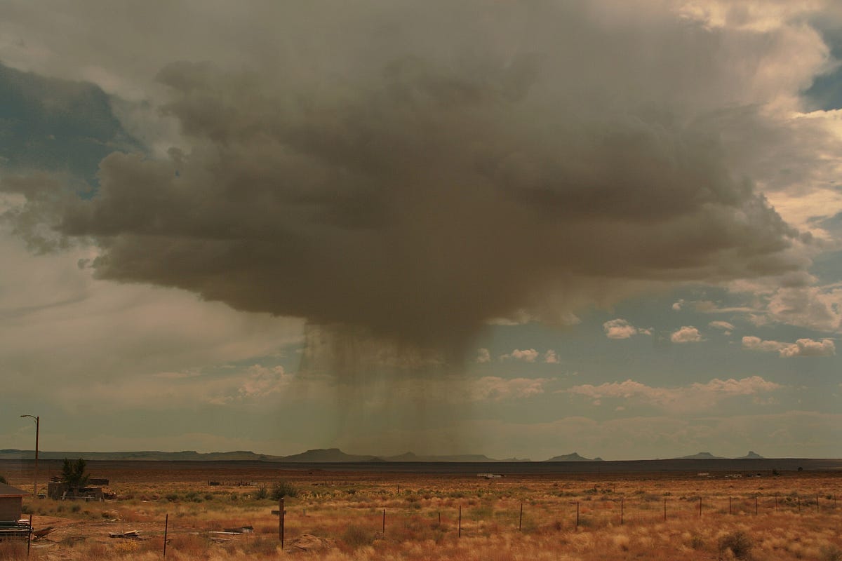 A Mythical Scent Ahead of Rain—The Science and Legend of Petrichor | by ...