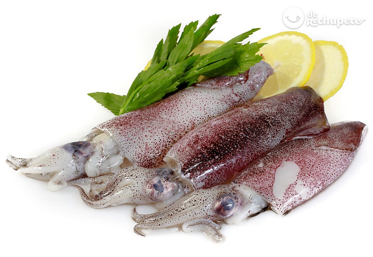 Squids What are they? Seafood or fish? Recipes with squid | by Ahmed ...