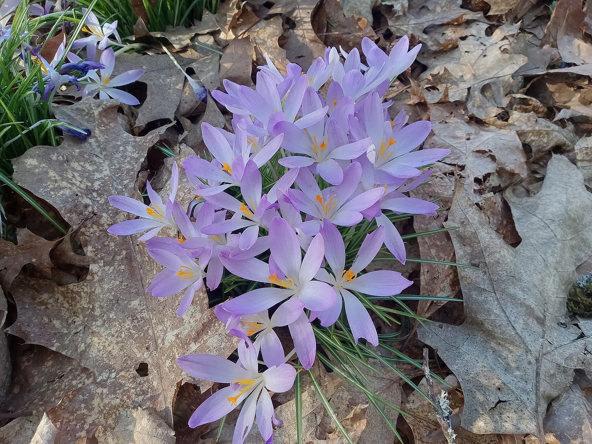 Interweaving the complexities of life and death | by Just ME - The ...