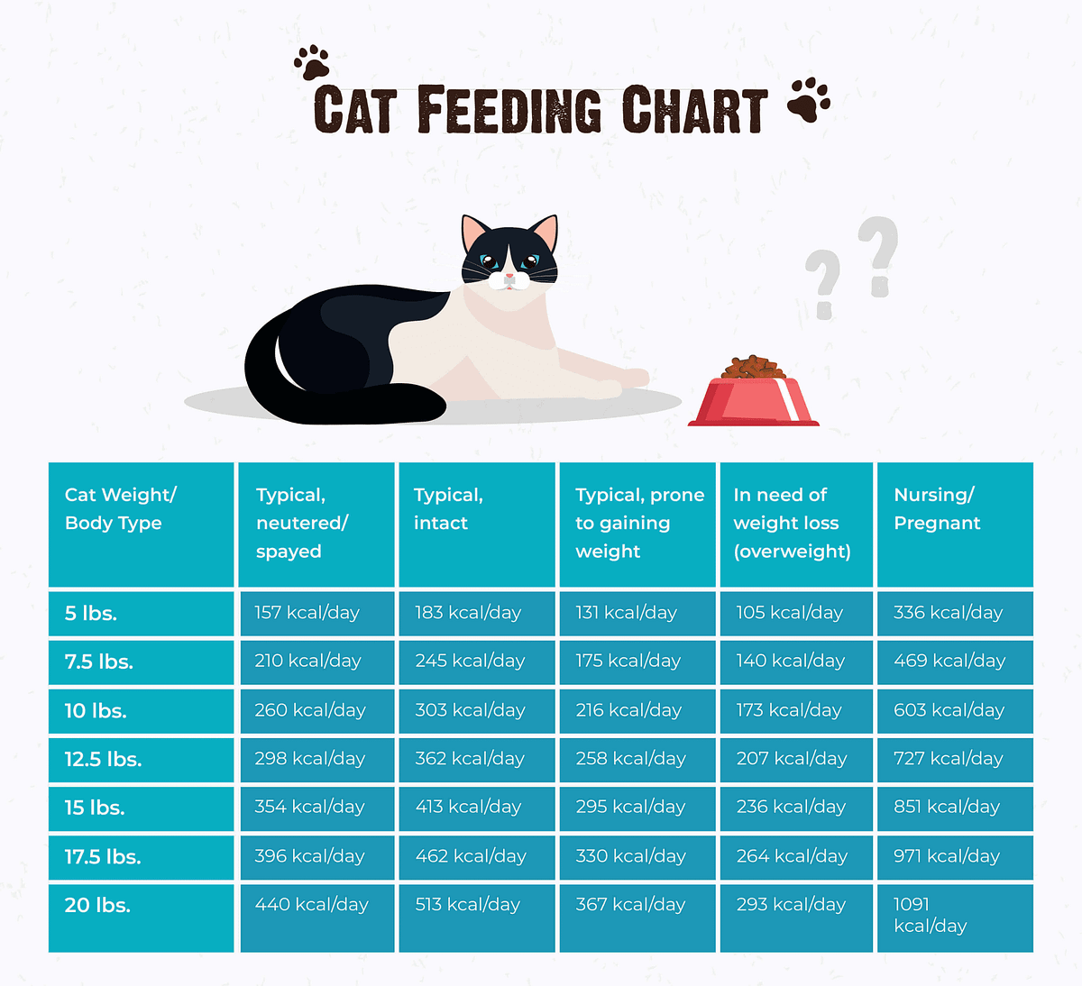 How Much Should I Feed My Cat? Essential Feeding Guide | by Asker | Aug ...