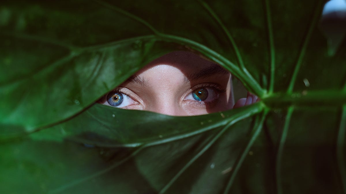 Eyes Open - Loose Words - Medium