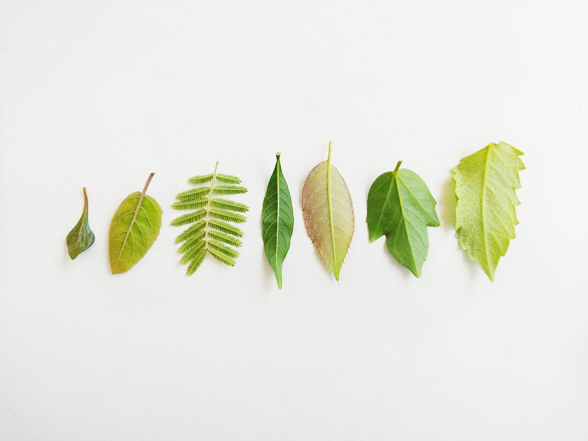 Getting Started With Mongodb Spark Connector On Databricks By