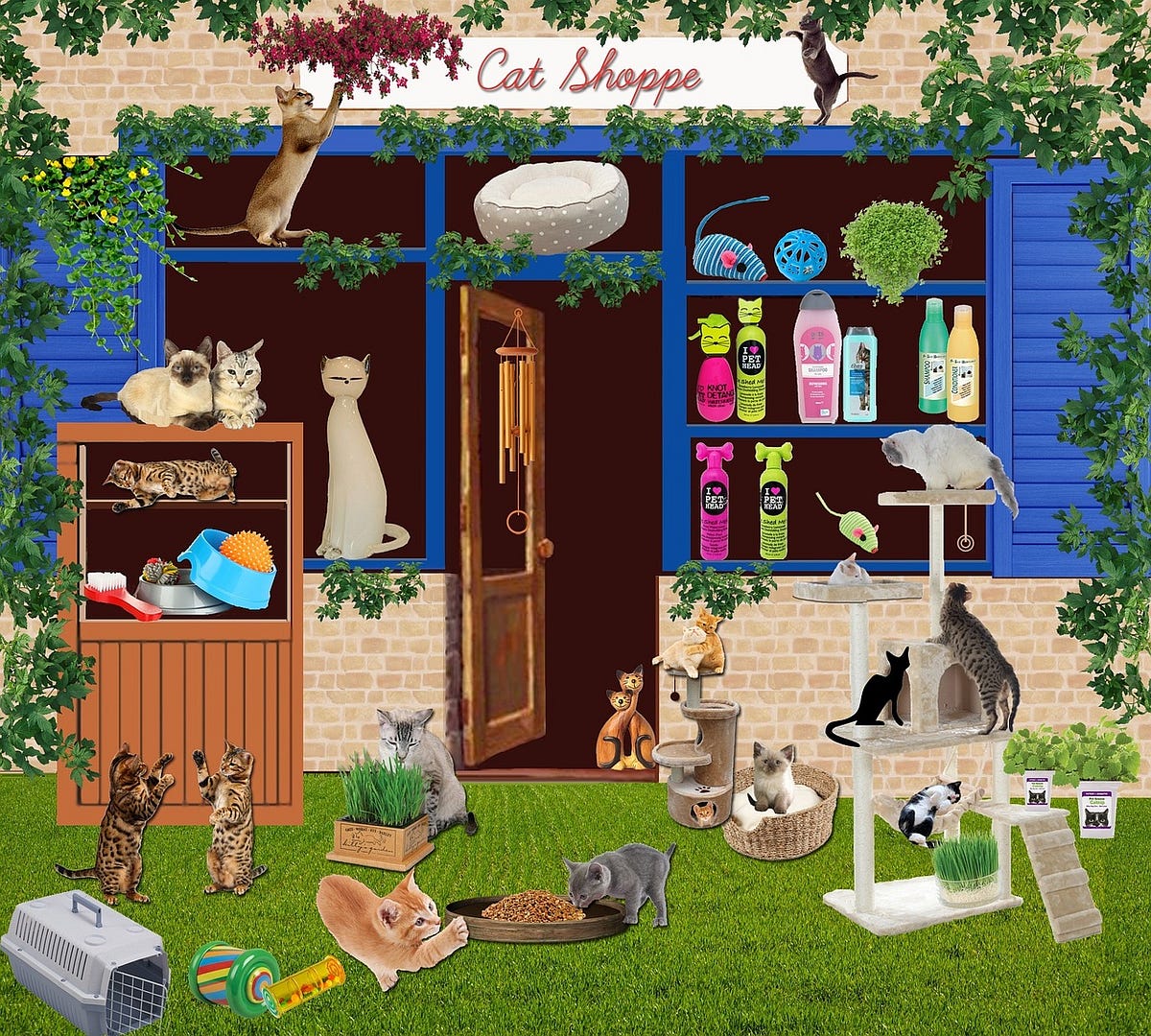 Purchase Pet Items Using Bitcoin & Crypto. We’ll Show You How! | by ...