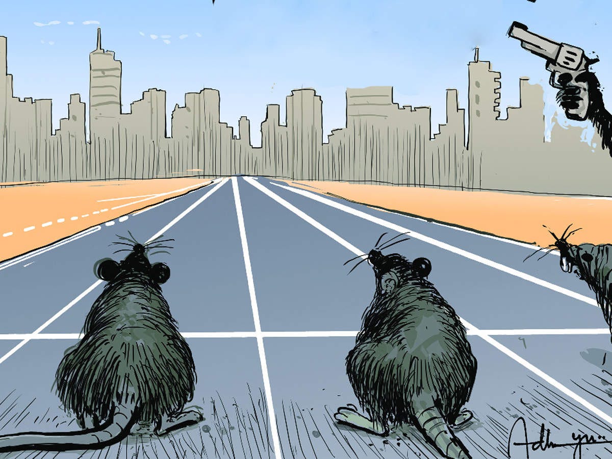 Escape The Rat Race Before It’s Too Late! | by HiJackJobs | Medium