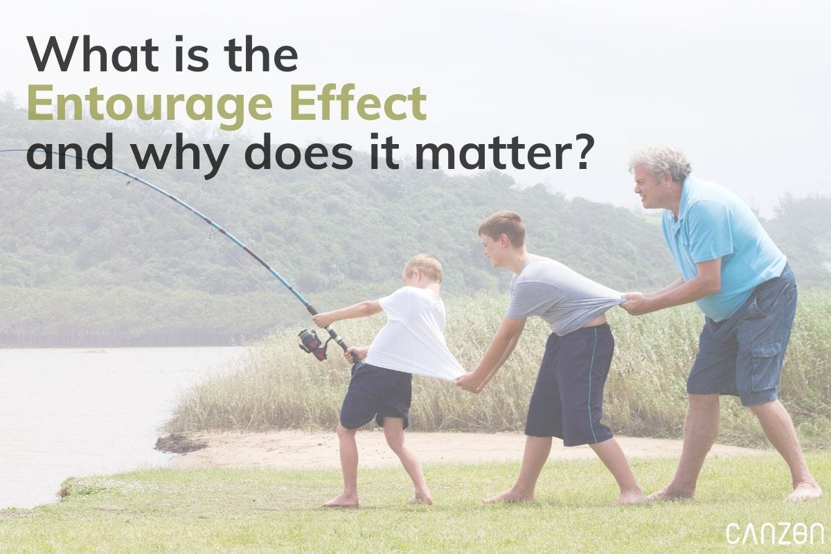 What is the Entourage Effect and why does it matter? | by CanzonCBD ...