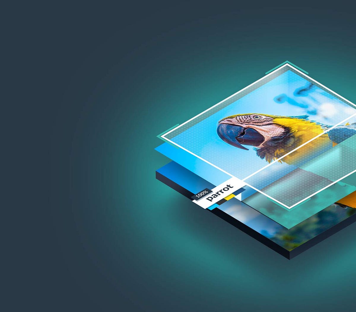 Guide For New Developers On How To Use An API For Image Classification | by TheStartupFounder ...