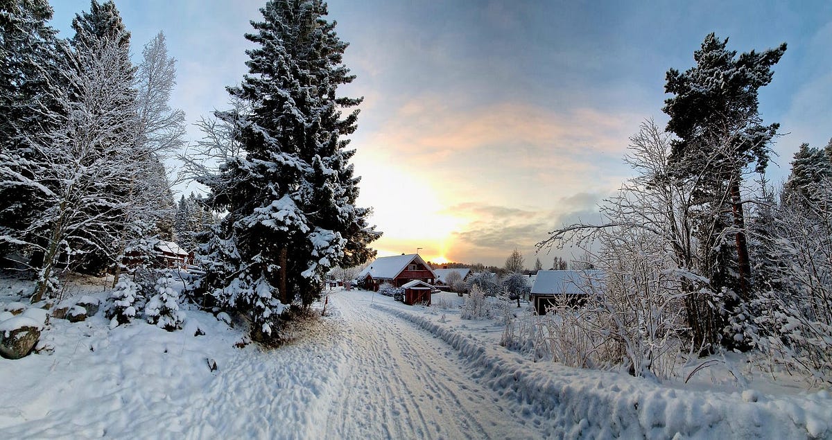 The Long Distance Train. Content warning: This poem touches on… | by ...