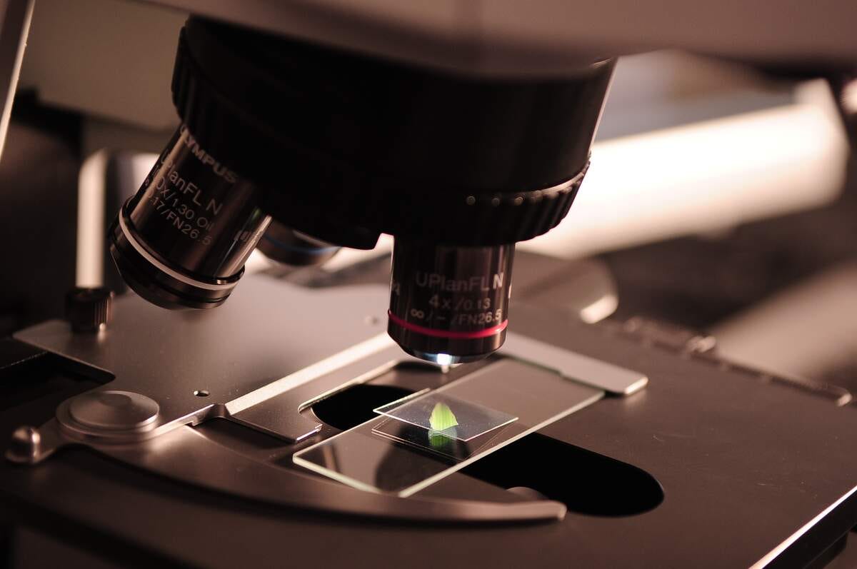 It’s National Science Day | February 28, 2025 | by Checkiday | Medium