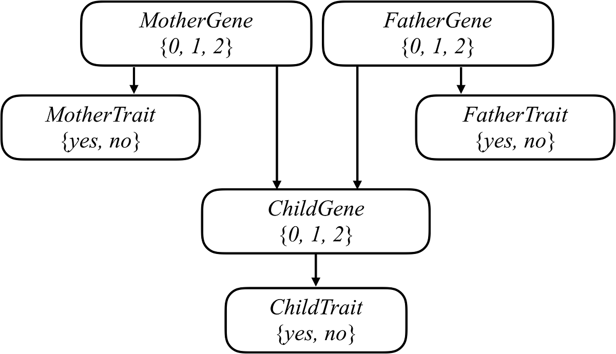 Bayesian Networks. The next problem for CS50: AI is… | by Ethan Jewell ...