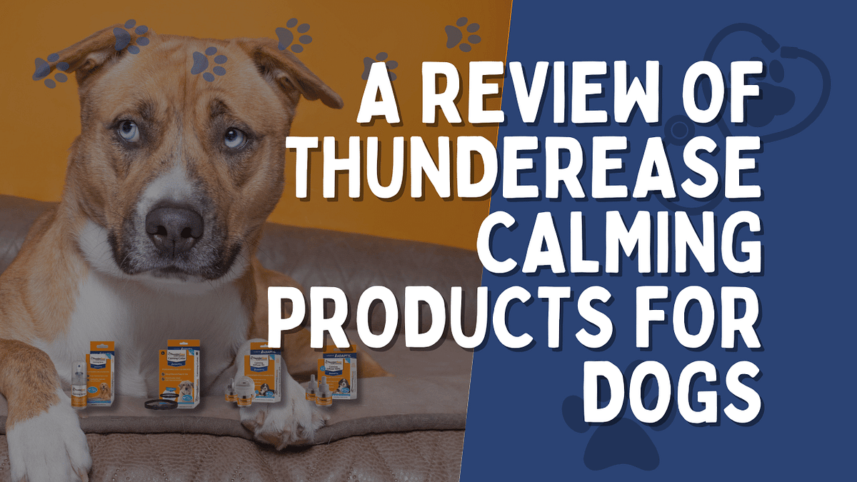 A Review of ThunderEase for Dogs | by Barkydogtoys | Jun, 2023 | Medium