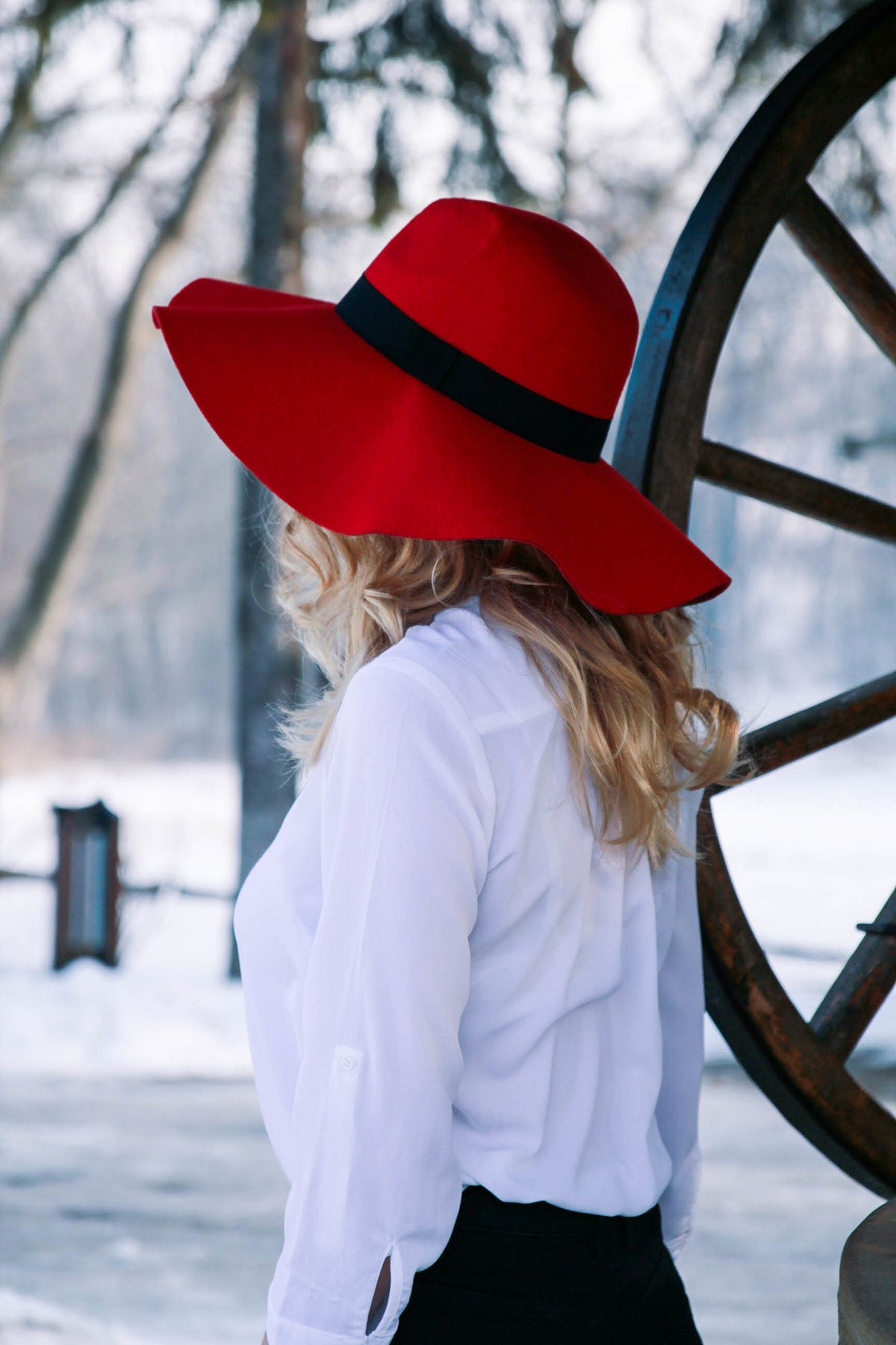 The Perfect Woman. A 1,200 word story | by Patsy Collins | Writers ...
