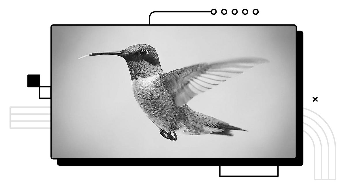 Best Flutter IDE for Front-End Development | by Pieces 🌟 | Pieces for ...