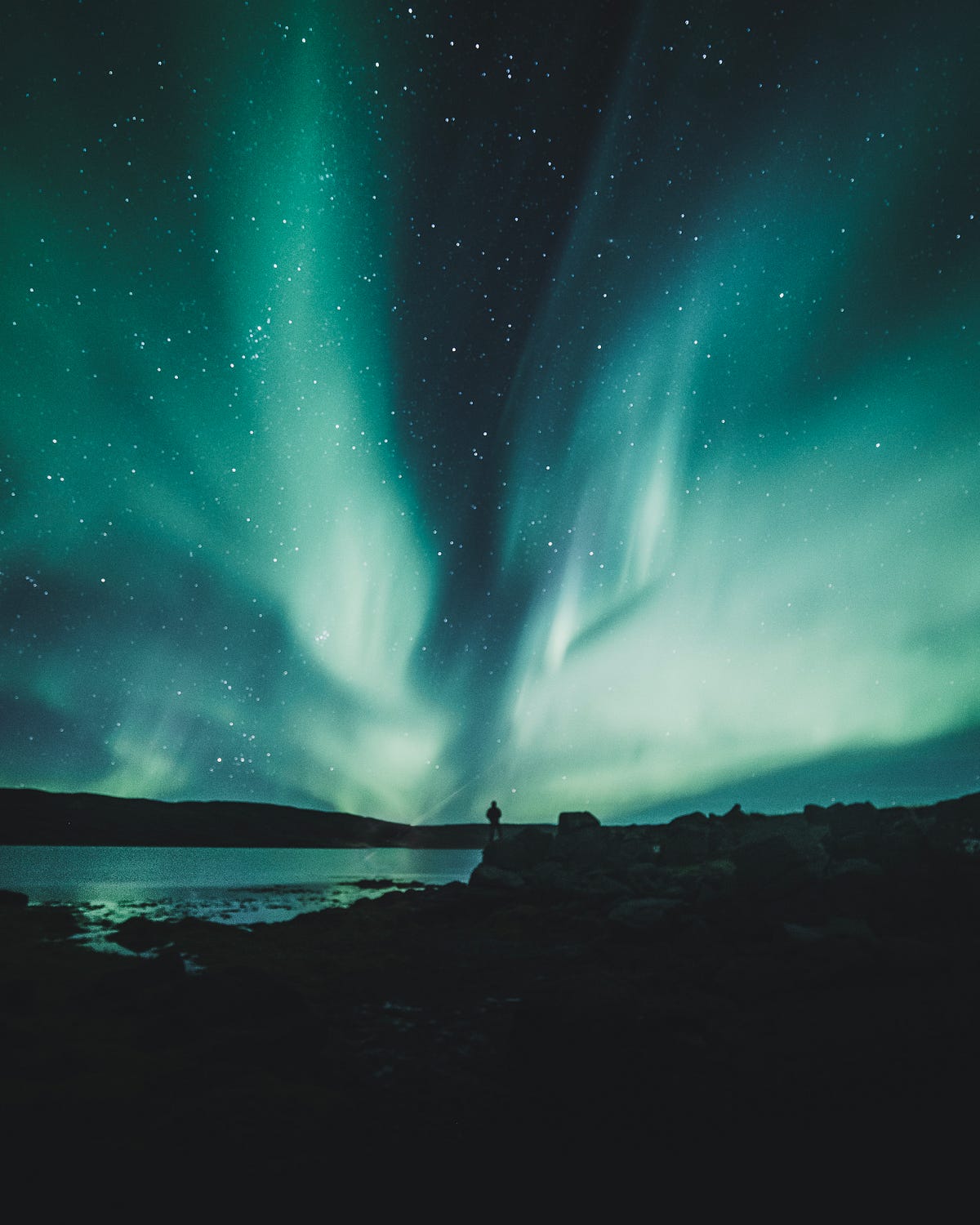 Northern Lights — Renaissance. What’s that you say? A fusion of… | by ...