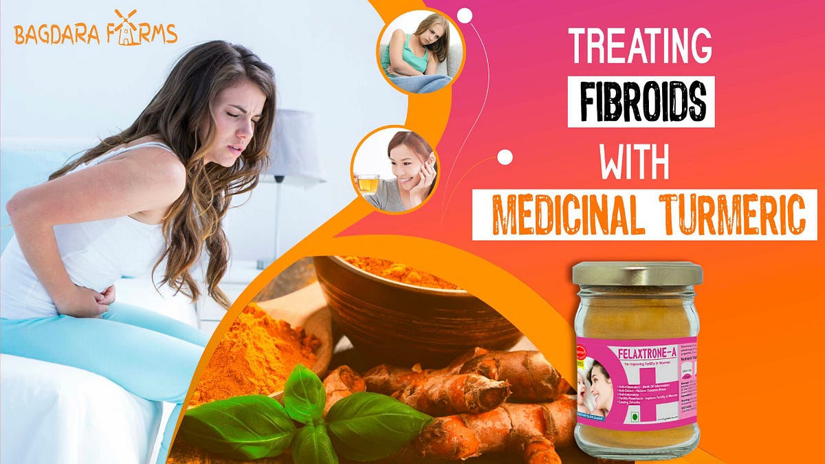TREATING FIBROIDS WITH MEDICINAL TURMERIC | by Bagdara farms | Medium