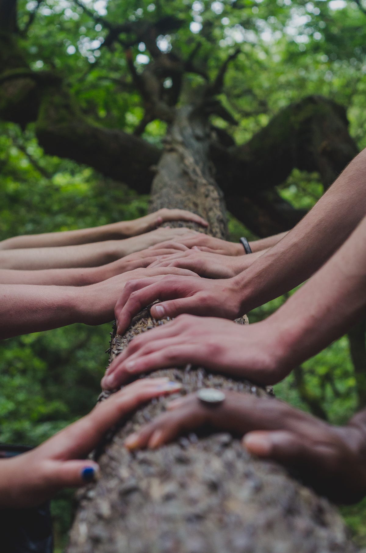 Establishing Brilliant Teamwork. Schematically, all the problems of the ...
