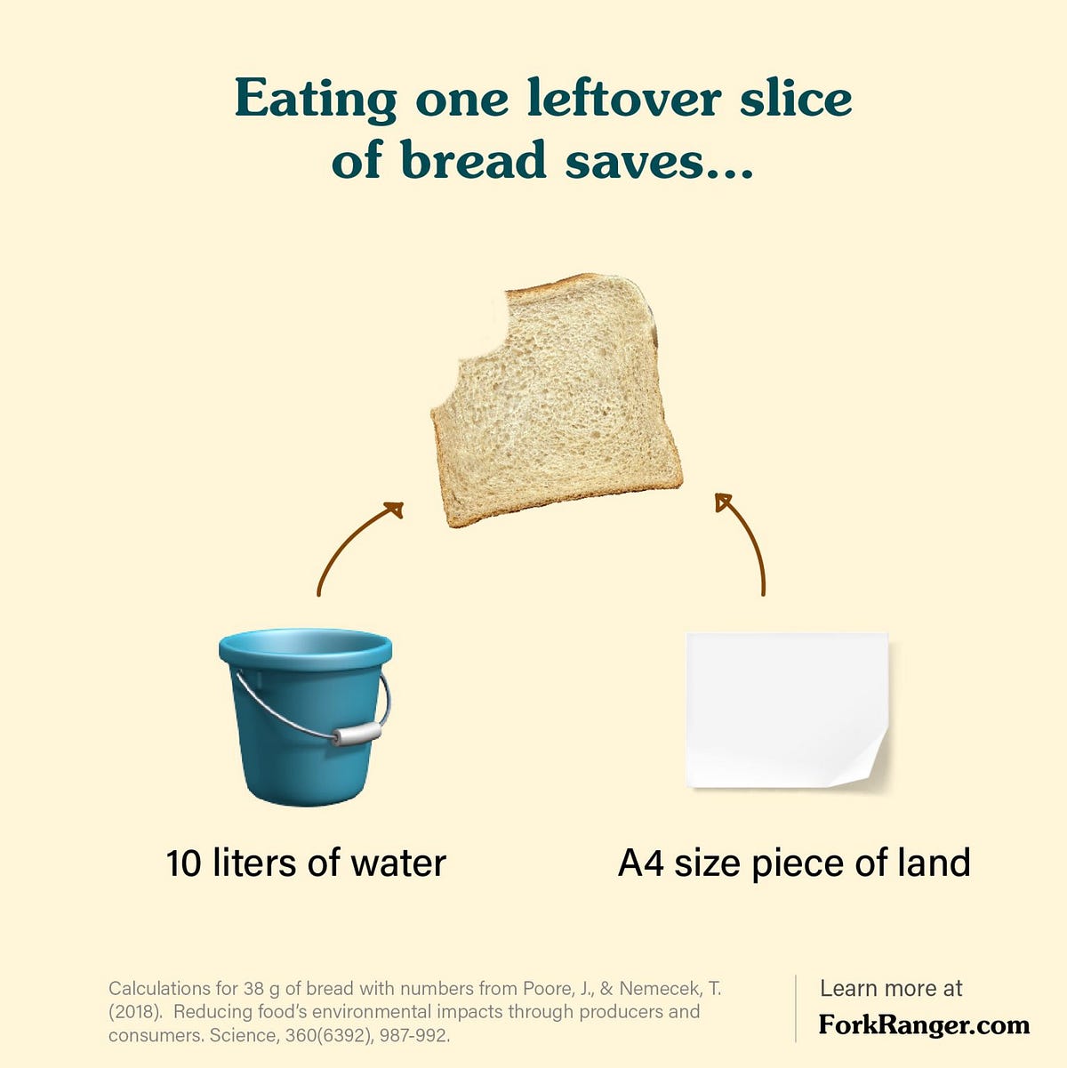 Food waste: bread | by Tarlan Isaev | Medium