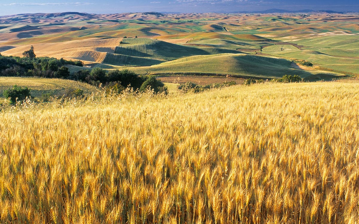 Cargill Has The Home Field Advantage In North America | by Farmer Jon ...