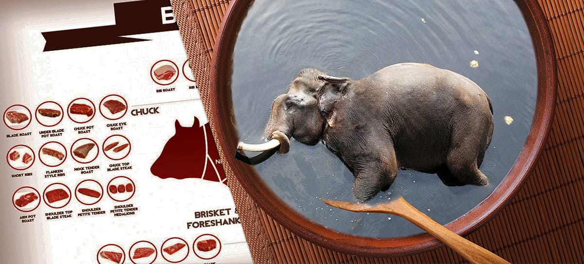 Project Management: Eating an Elephant | by S.Brovkin | Medium
