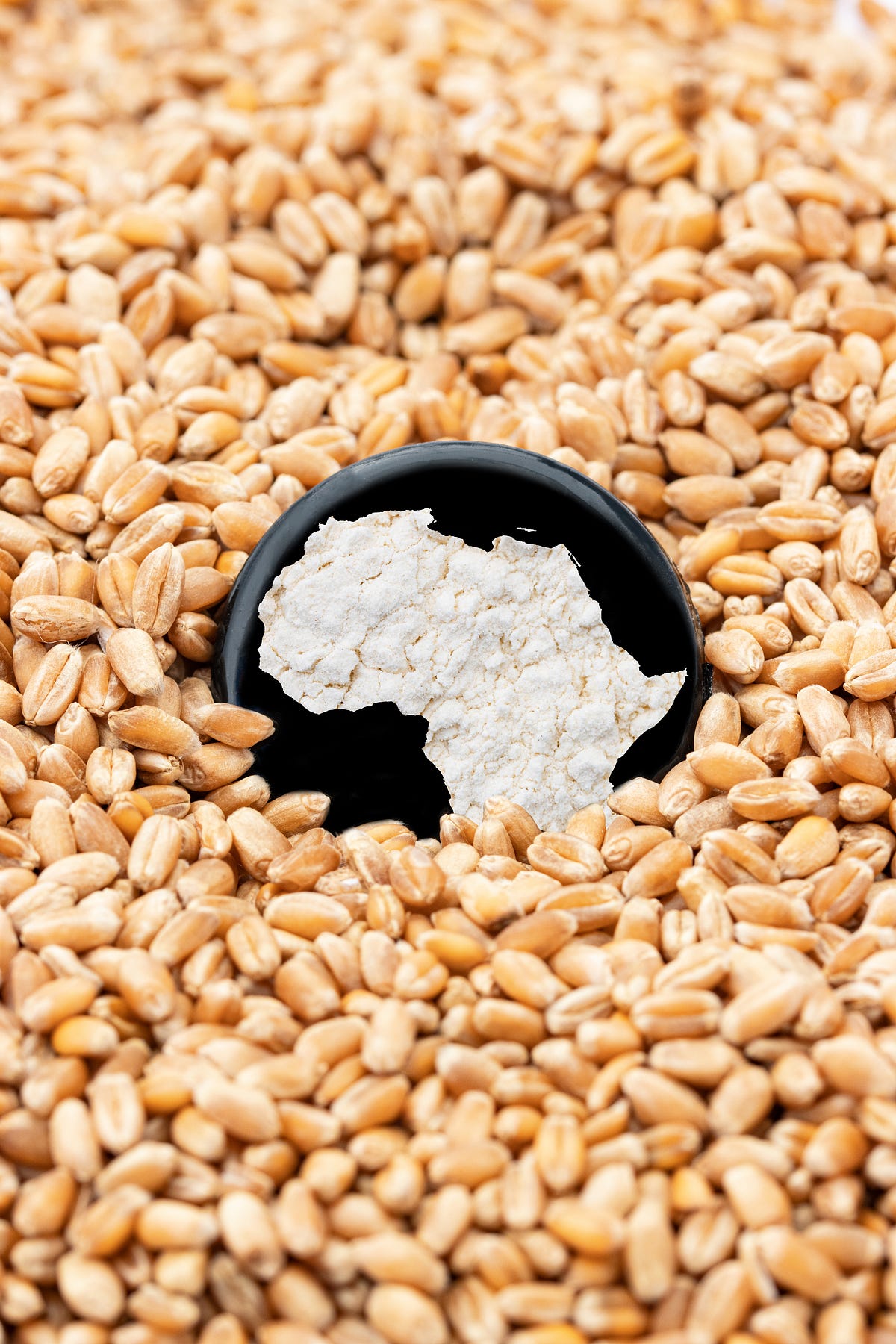 The food crisis is still a huge problem for the world | by Selcuk ...