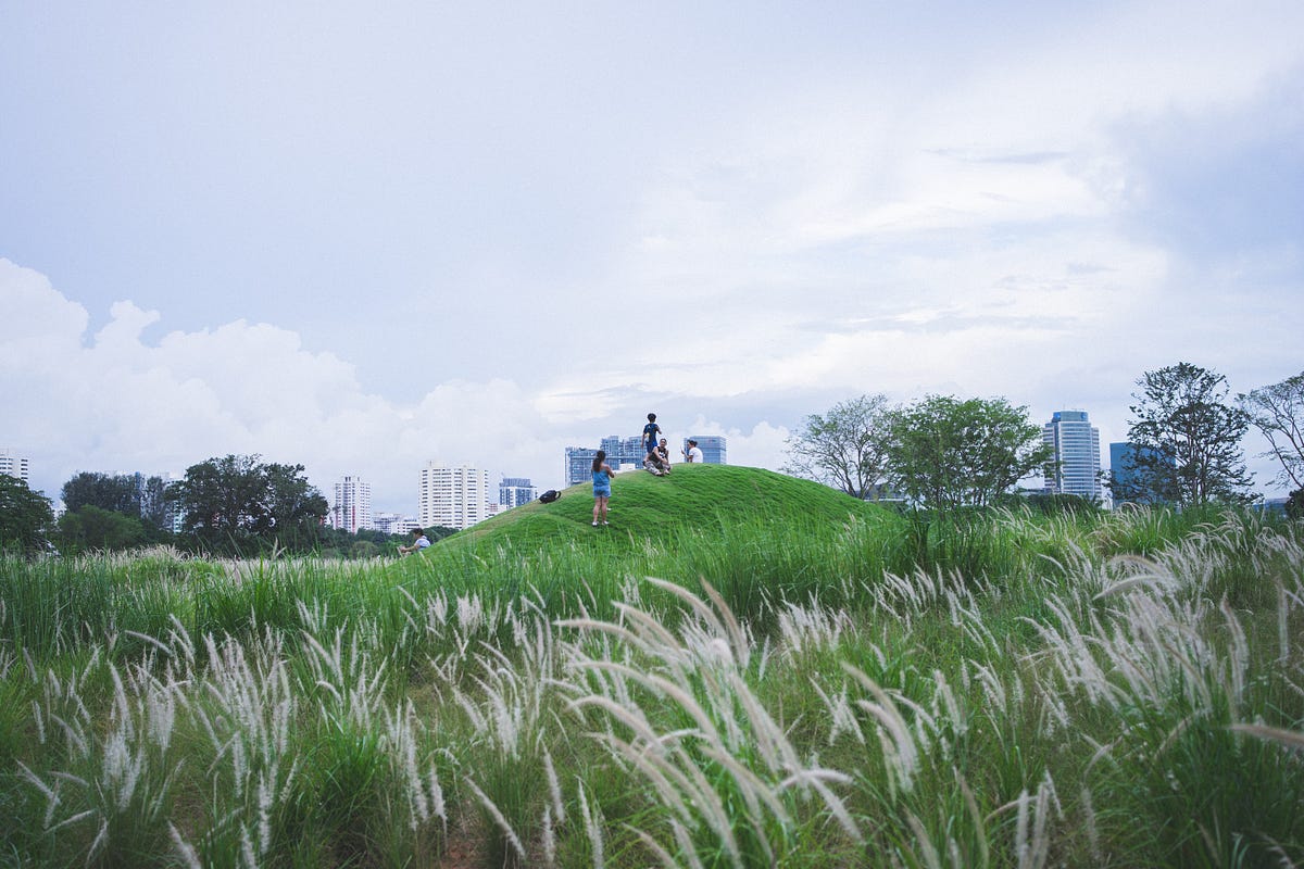 A 1000-year-old secret is revealed. | by barry robinson | Read or Die ...