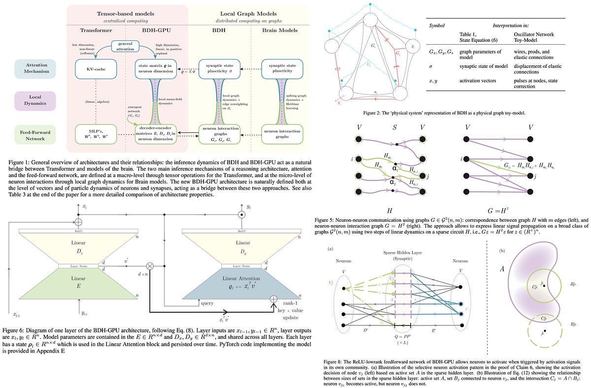 Paper Review: The Dragon Hatchling: The Missing Link between the ...