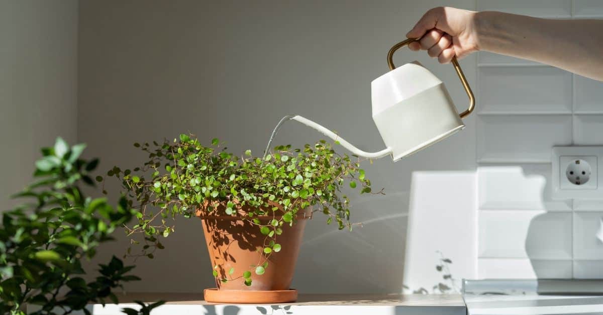 Working Sideways for Yoyu: A Productivity Hack? | by Marci Kobayashi ...