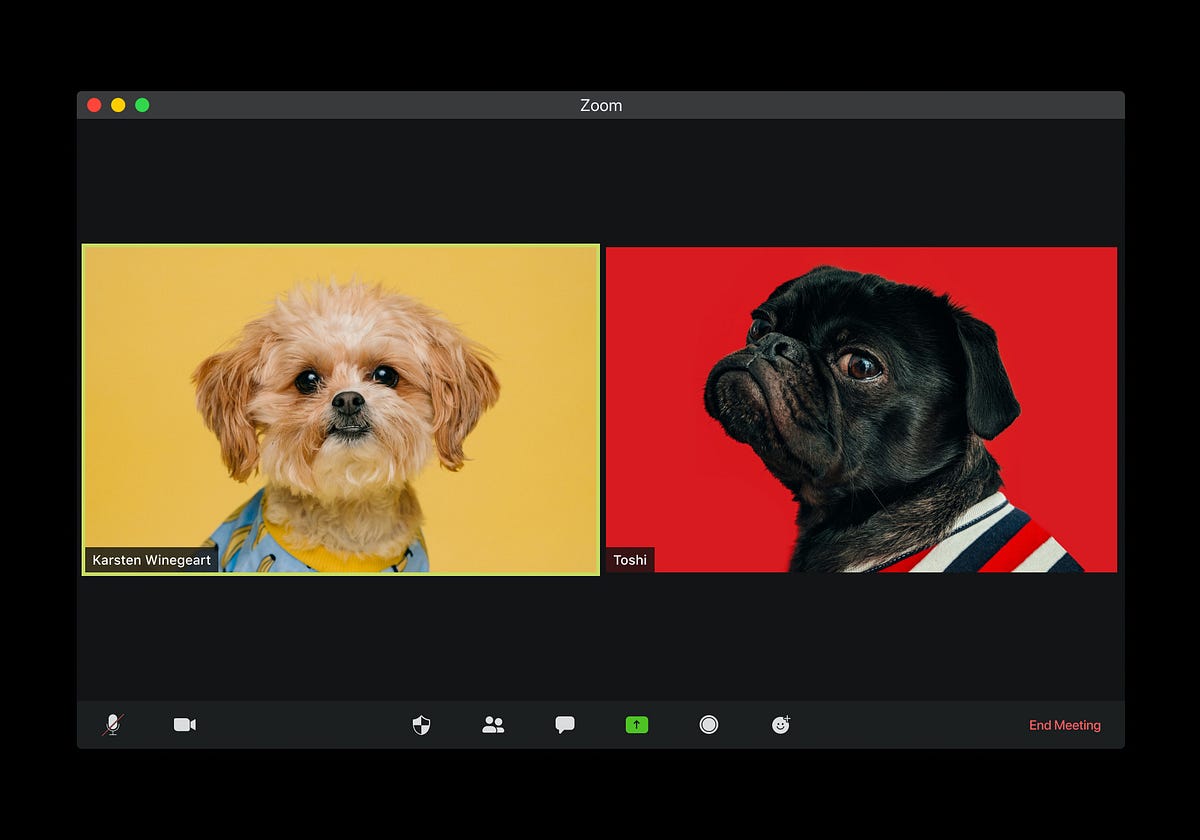 How you can perform cheap unmoderated usability testing using Zoom | by ...