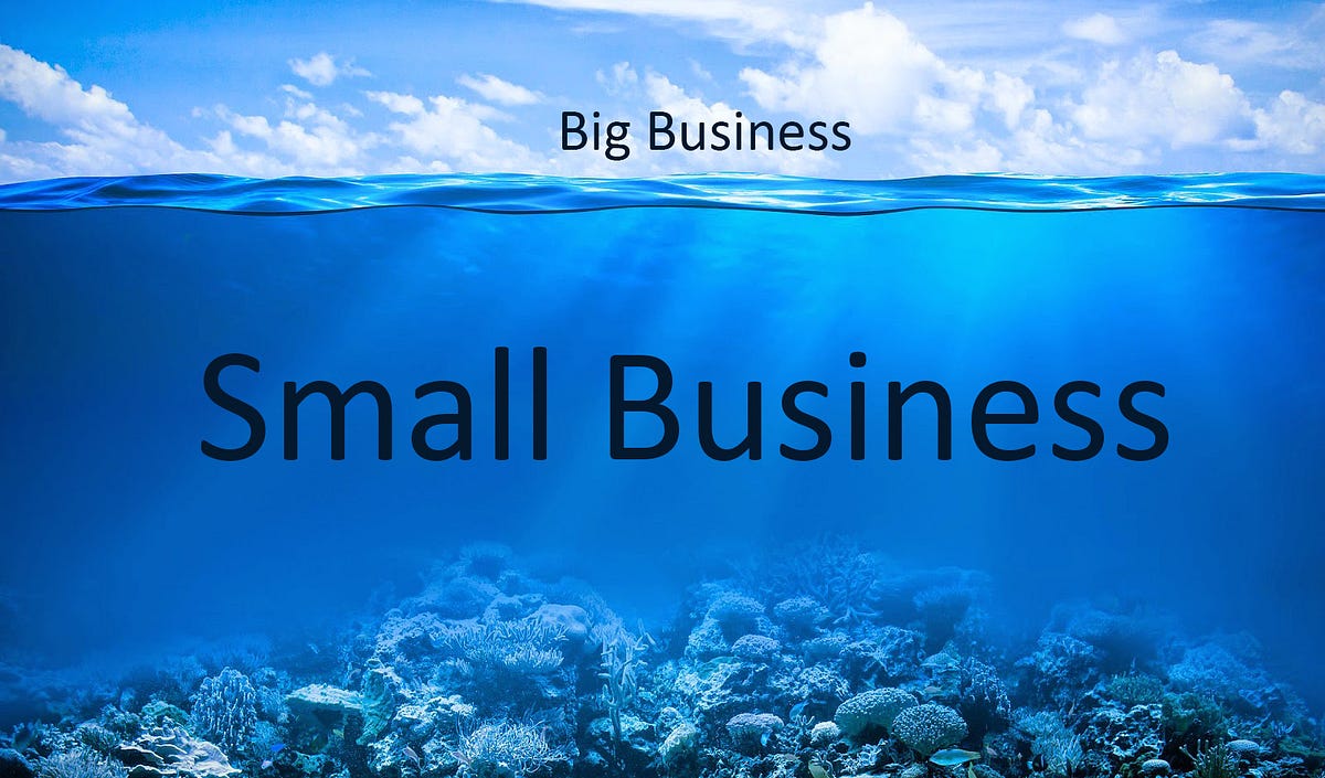 Small is the New Big. Nearly all of what happens in business… | by Doc ...