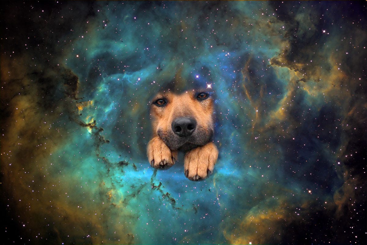 Concurrency On The Jvm — Monitors And Synchronization With Scala 🐶 By Francisco Perrotta