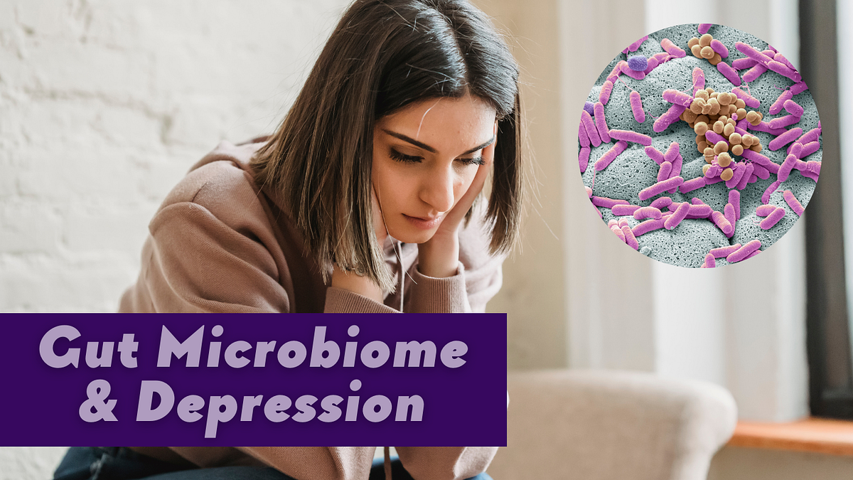 The Gut Microbiome & Depression | by Bude Piccin | Tastermonial | Medium