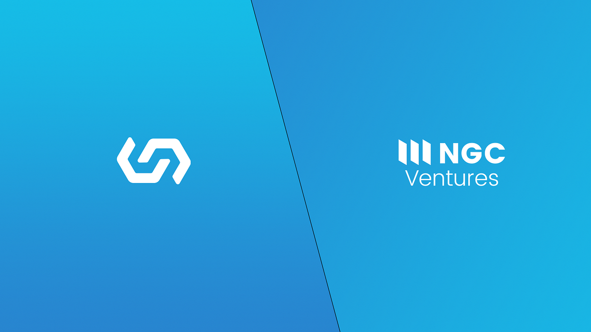 Paralink NGC Venture Investor Spotlight | by Paralink Network | Medium