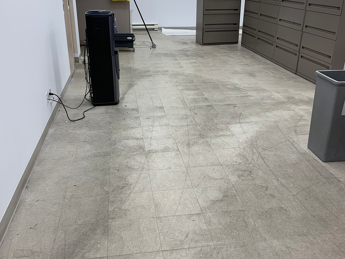 Revitalize Your Office Space with Netcorp Ltd Exceptional Floor Waxing ...