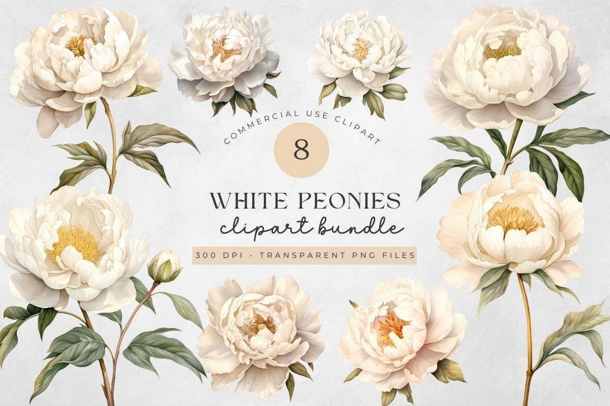 Watercolor White Peonies Flower Clipart (Printable Illustrations) | by ...
