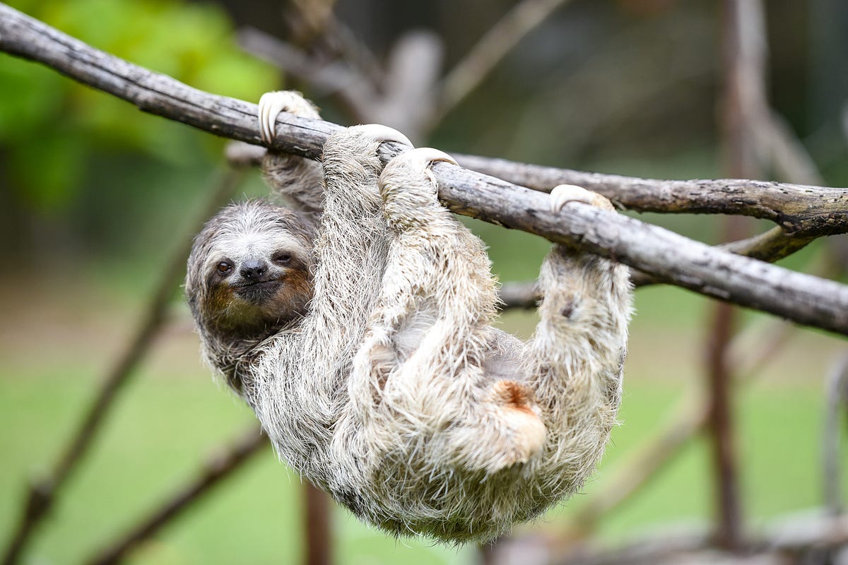 React Router Transitions With Lazy Loading By Jørgen Lybeck Hansen 3025