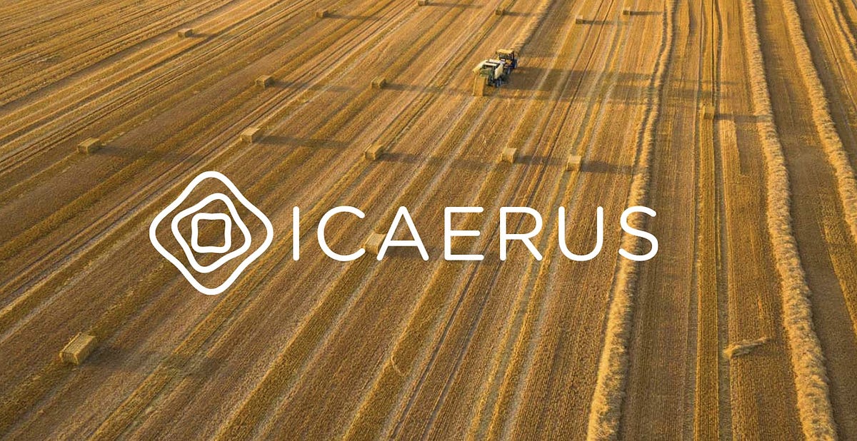 ICAERUS: Calculation of vegetation indexes | by EstherNoumena | Medium