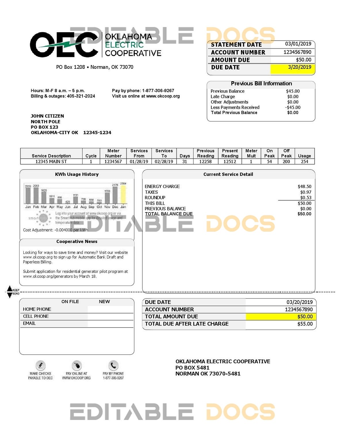 USA OEC electricity utility bill template in Word and PDF format - editable docs - Medium
