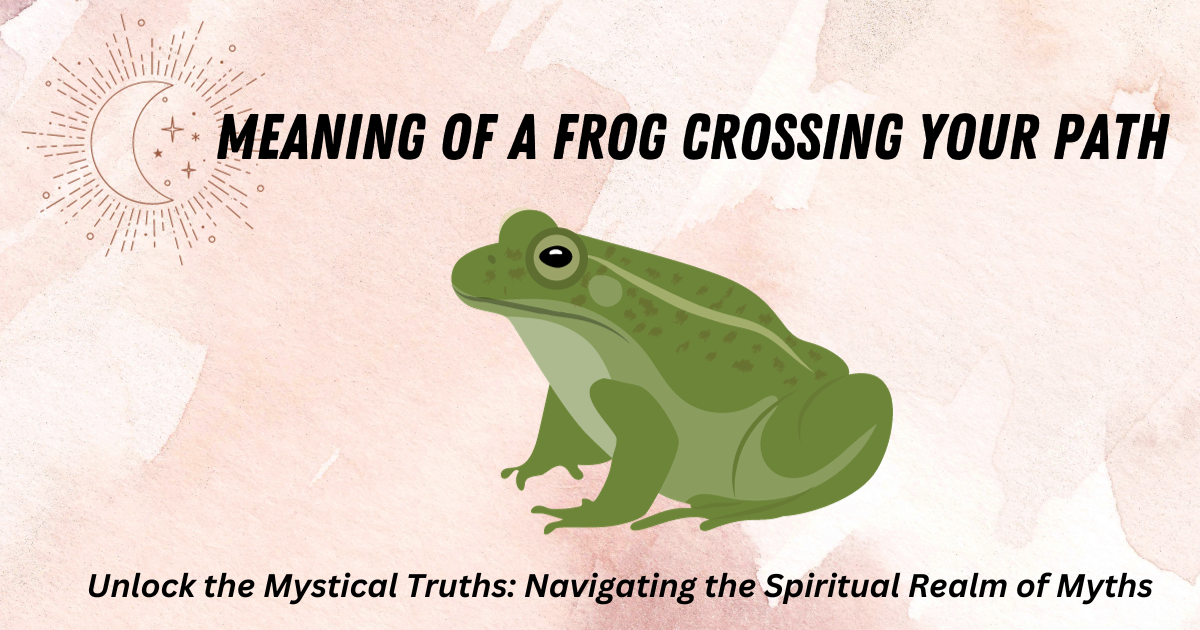 23 Spiritual Meanings of a Frog Crossing Your Path: Unveil Mysteries ...