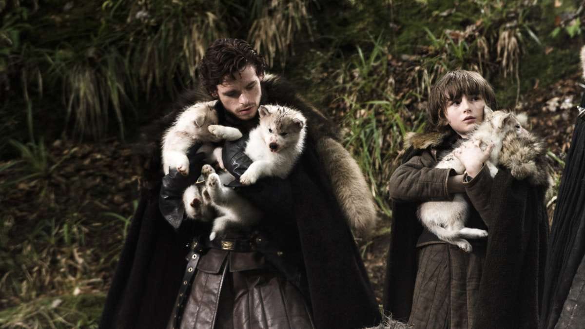 The Dark Side of Pop Culture: The Consequences of Demanding Specific ...