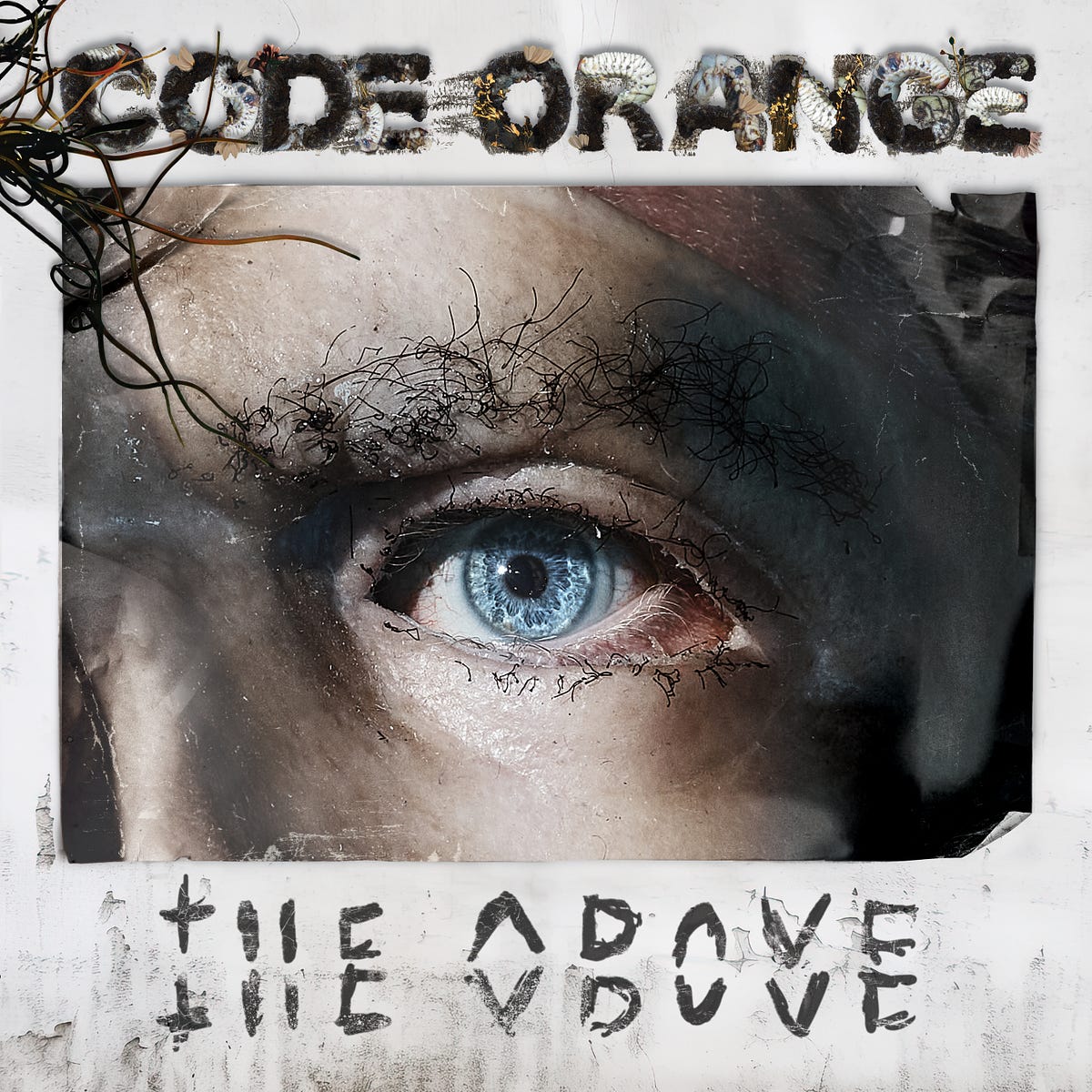 The Above by Code Orange | Album Review | by Mark Chinapen | Modern ...
