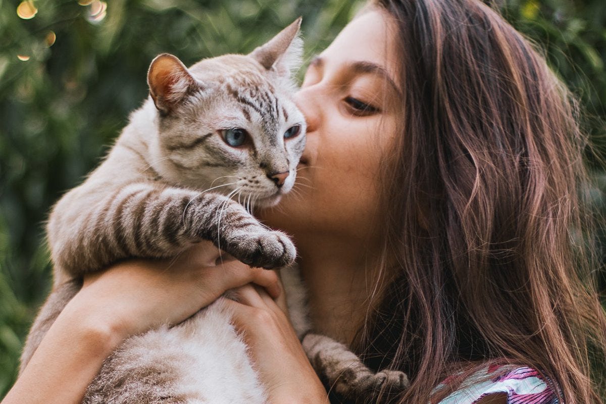 The ‘Crazy Cat Lady’ stereotype is incredibly misogynist and needs to ...